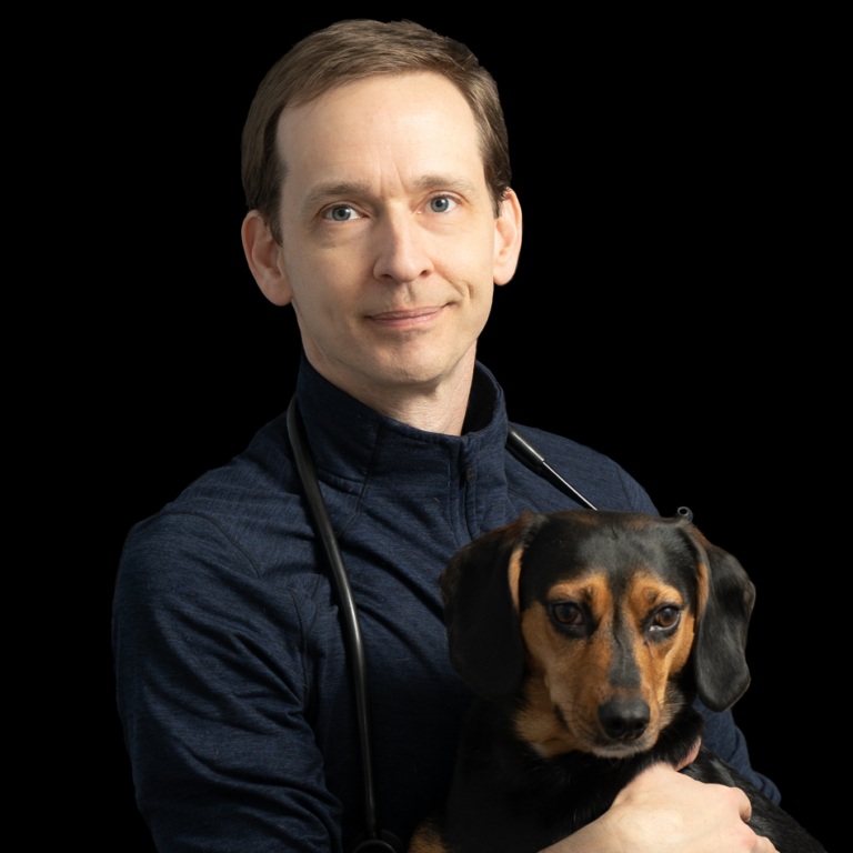 Dr. Jeff Carpenter | Commonwealth Veterinary Hospital